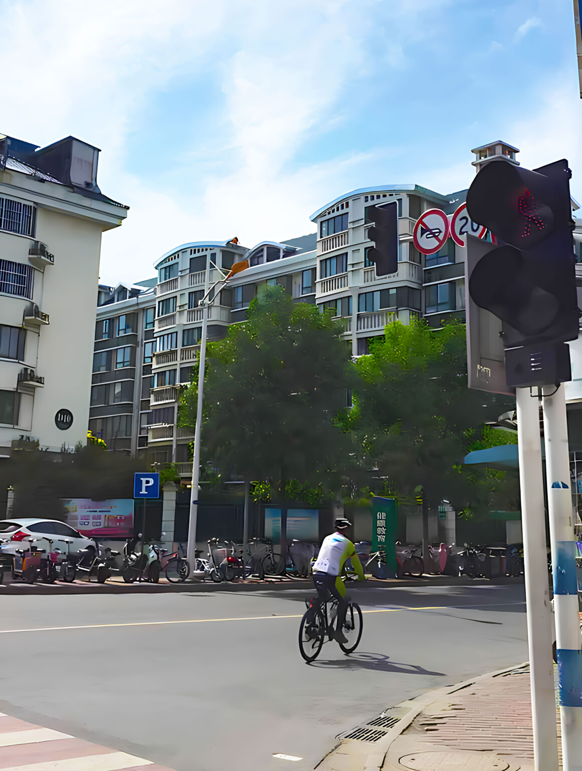Pedestrian Acoustic Crosswalk Signals Device